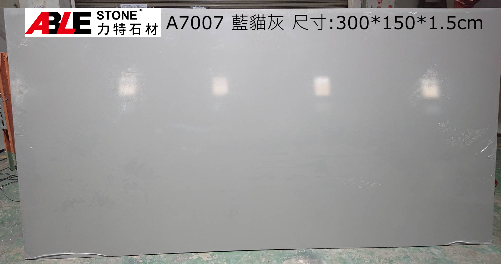 A7007藍貓灰 | 艾柏國際有限公司